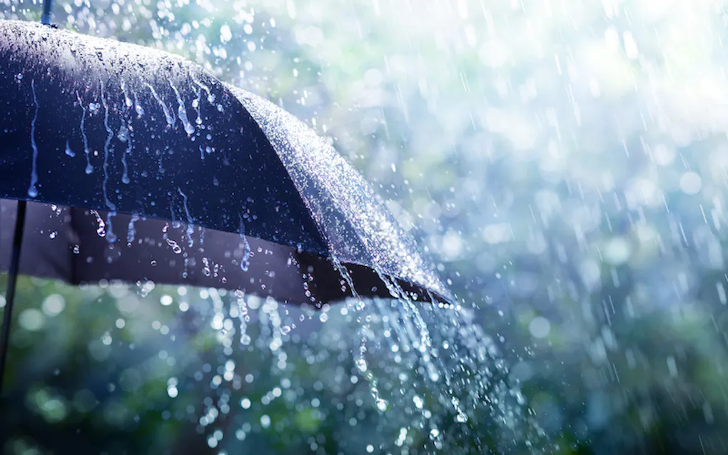 Don’t Get Caught Unprepared — Why Umbrella Policies | Carter Glass